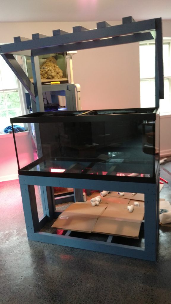 Aquarium Blog – Advanced Aquarium Concepts